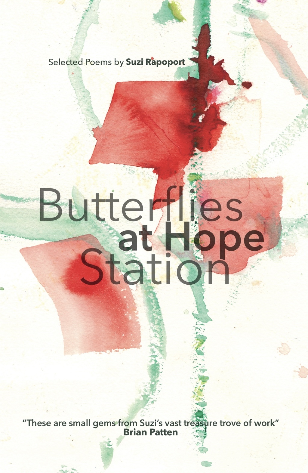 Poetry – Suzi Rapoport